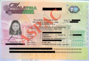 Image result for Single Entry Permit