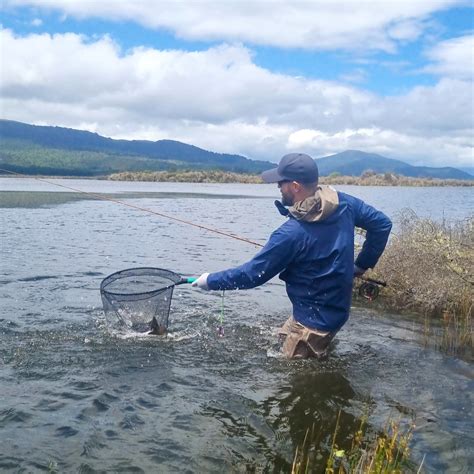 Image result for Vision Fly Fishing Net