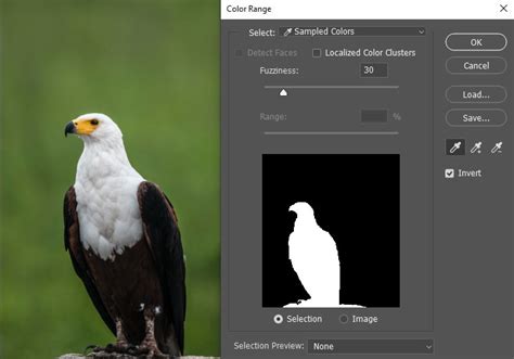 Image result for Make Color Transparent