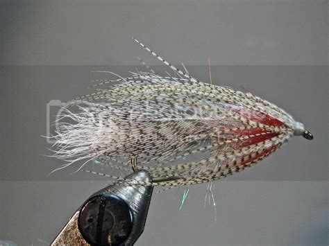 Image result for Clouser Minnow Tying Tutorial