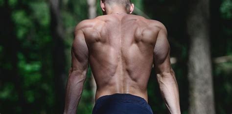 Image result for Build Body Muscle