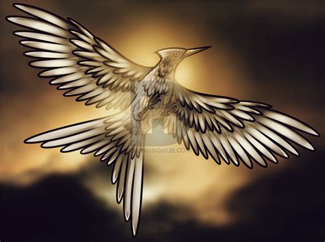 Image result for Mockingjay Bird Drawing