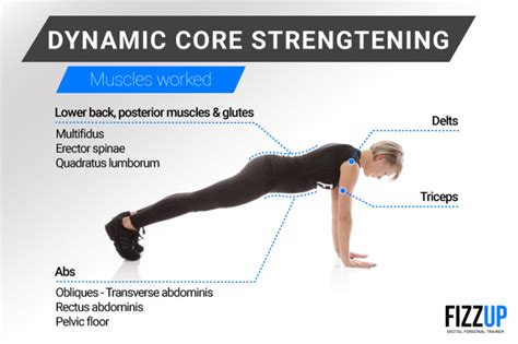 Image result for Dynamic Core Stretch