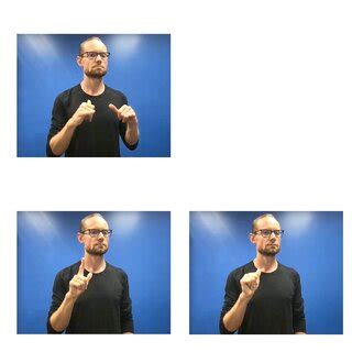 Image result for ASL Lexical