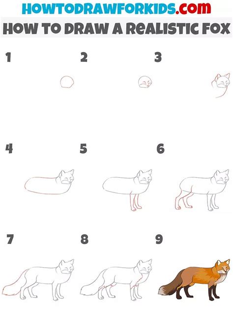 Image result for Fox Drawing Tutorial