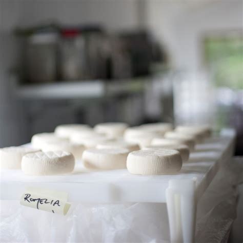 Image result for Salt Spring Island Cheese