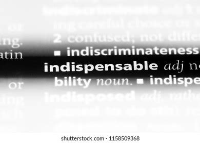 Image result for Indispensable Language