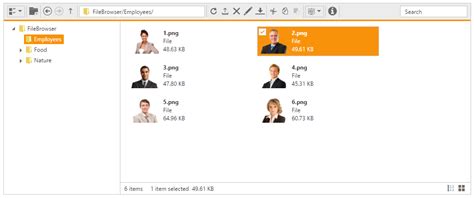 Image result for Asp.net Core MVC File Explorer