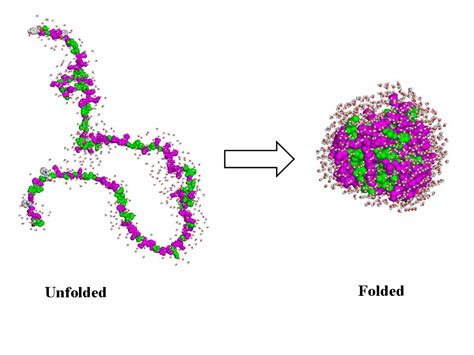 Image result for Protein Folding Simulation
