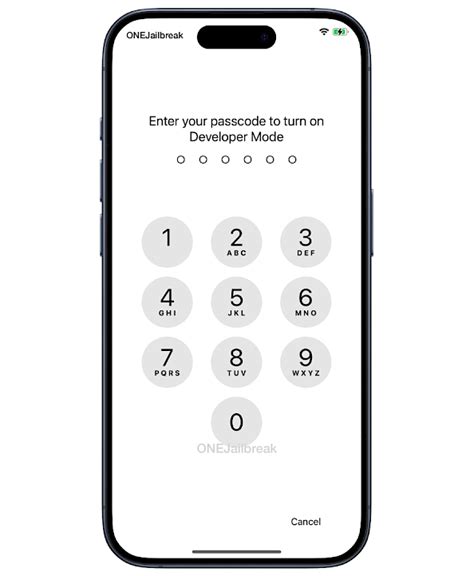 Image result for Developer Mode Required iOS