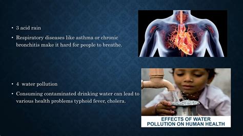 Image result for Pollution Example