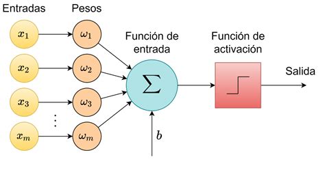 Image result for Tensor Processing Activation Function