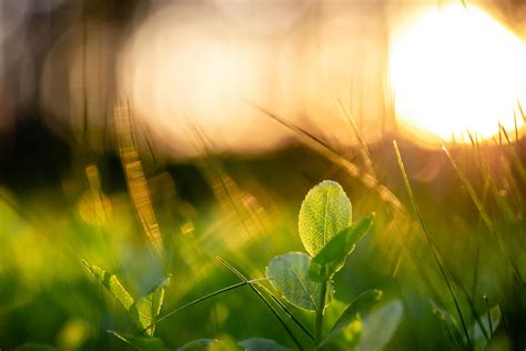 Image result for Color Key Natural Light