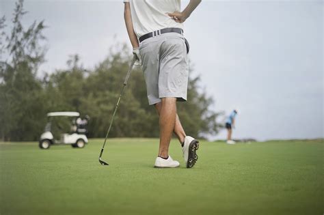 Image result for Turtle Bay Golf Course