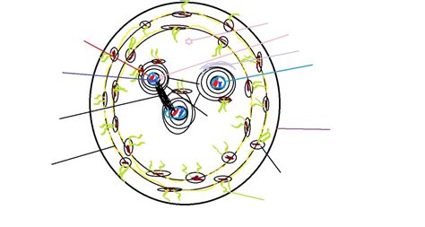 Image result for Compact Bone Cross Section