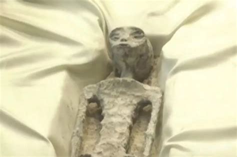 Image result for Alien Found Alive