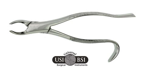 Image result for Extraction Forceps