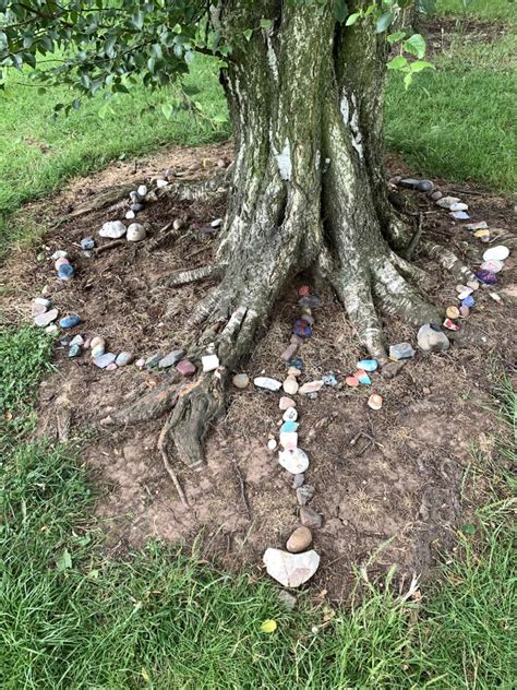 Image result for How Get Circle around Tree for Landscaping