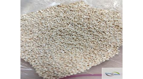 Image result for Pp Masterbatch