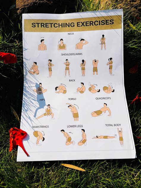 Image result for Stretching Exercise Chart