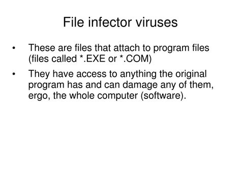Image result for Program File Virus