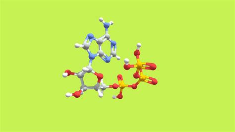 Image result for ATP Molecule Model