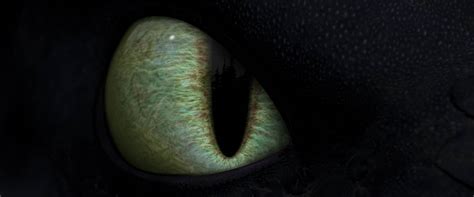 Image result for Toothless Eye Color