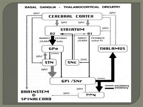 Image result for Extrapyramidal Disorder