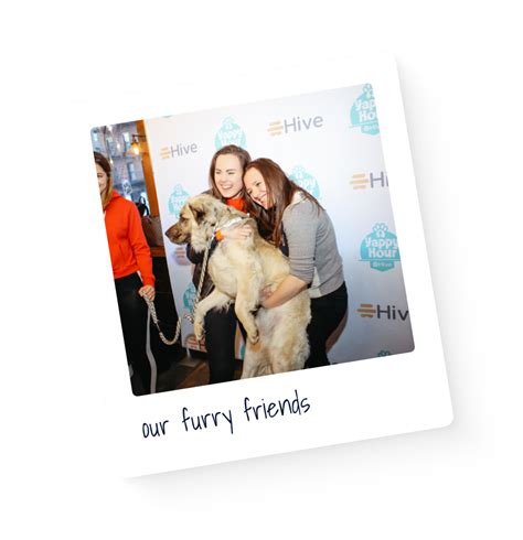 Image result for Hive Operational Excellence Project