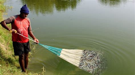 Image result for Catching Prawns