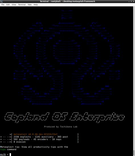 Image result for Metasploit Folder Icon