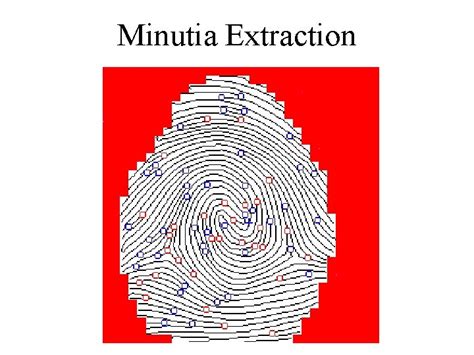 Image result for Texture Feature Extraction