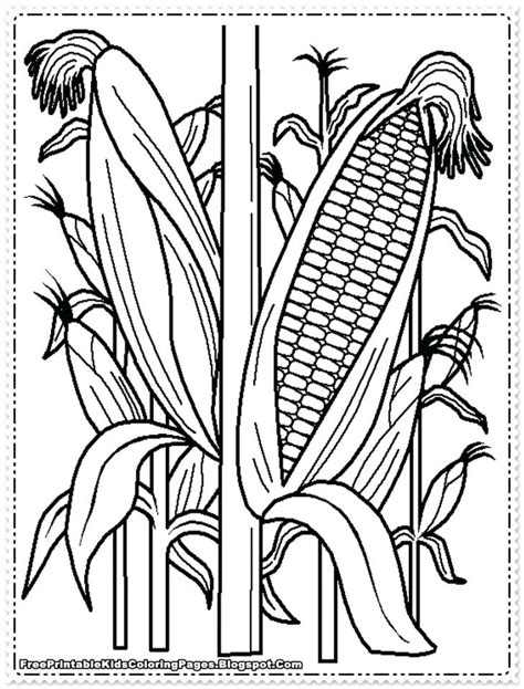 Image result for Drawing Corn Stalks