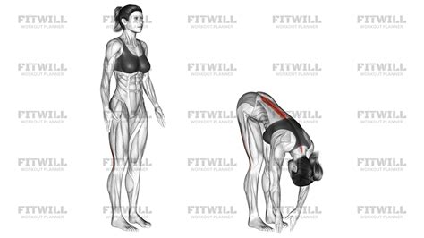 Image result for Standing Hamstring Stretch