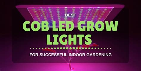 Image result for Cob LED Grow