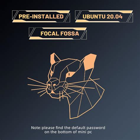 Image result for Linux Ubuntu Mini PC