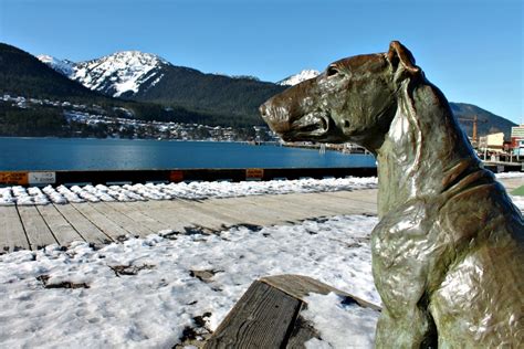 Image result for Patsy Ann