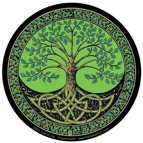 Image result for Simple Tree of Life Designs Celtic