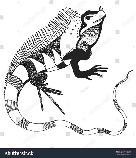 Image result for Simple Lizard