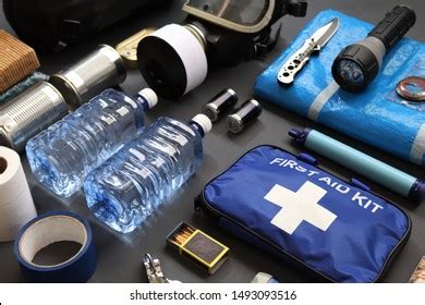 Image result for Prepper Lady