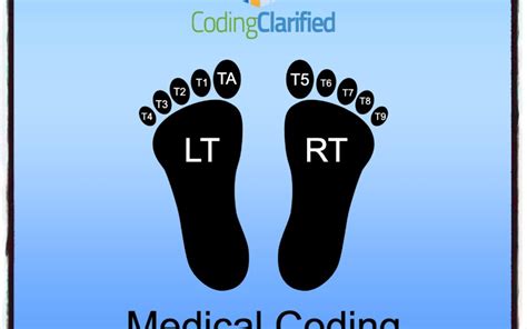 Image result for Medical Coding Session Class