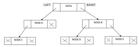 Image result for How to Insert Data to a Binary Tree in Python