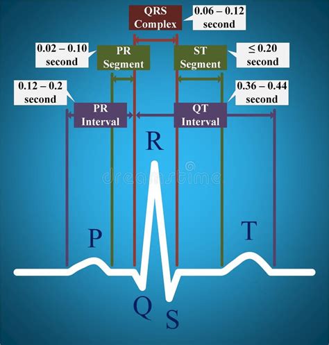 Image result for normal pr interval ecg