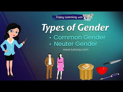 Image result for Howmany Types of Gender