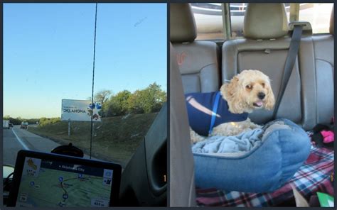 Image result for Patsy Driving