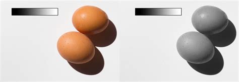 Image result for Tonal Value Scale Basics