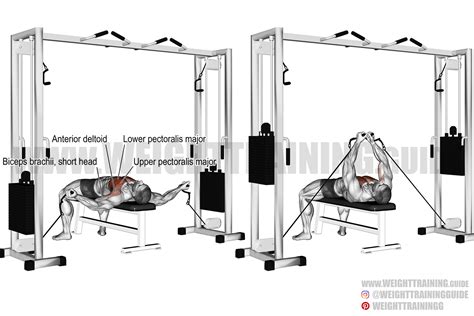 Image result for Cable Fly Exercise
