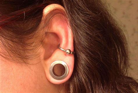 Image result for Conch Piercing