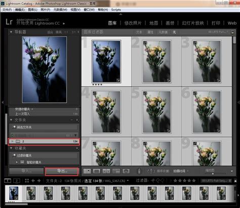 Image result for Open Lrprev File
