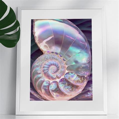 Image result for Nautilus Shell Art